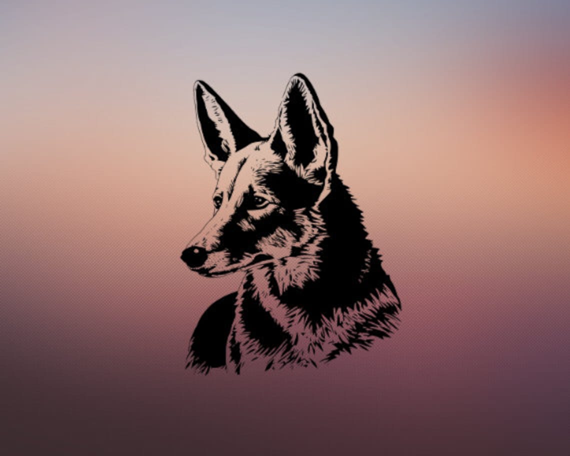 Dingo Svg Dingo Clipart Dingo Png Dingo Head Dingo Cut - Etsy Australia