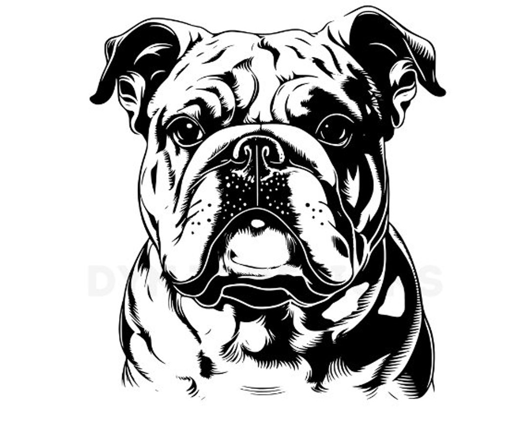 Bulldog Svg Cute Bulldog Svg Dog Bulldog PNG Bulldog Design - Etsy