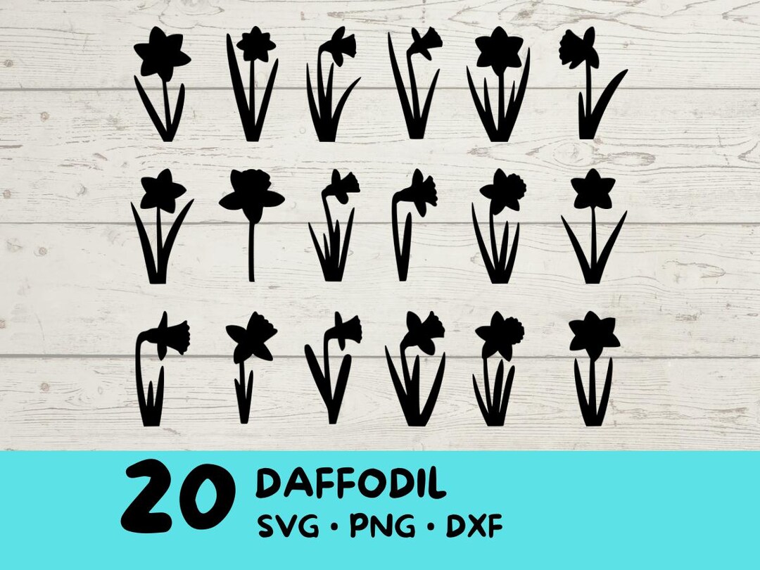 20 Daffodil SVG Cut Files Bundle, Floral Daffodil Clipart, Silhouette ...