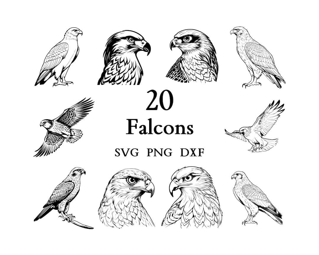Falcon Svg Bundle Falcon Svg Cut Files for Cricut and - Etsy