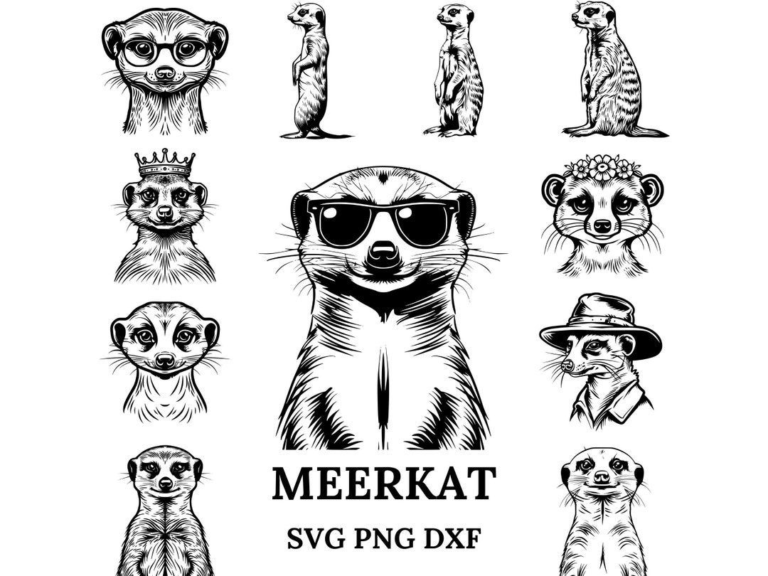 Meerkat Svg Bundle , Meerkat Svg , Meerkat Png, Meerkat Clipart ...