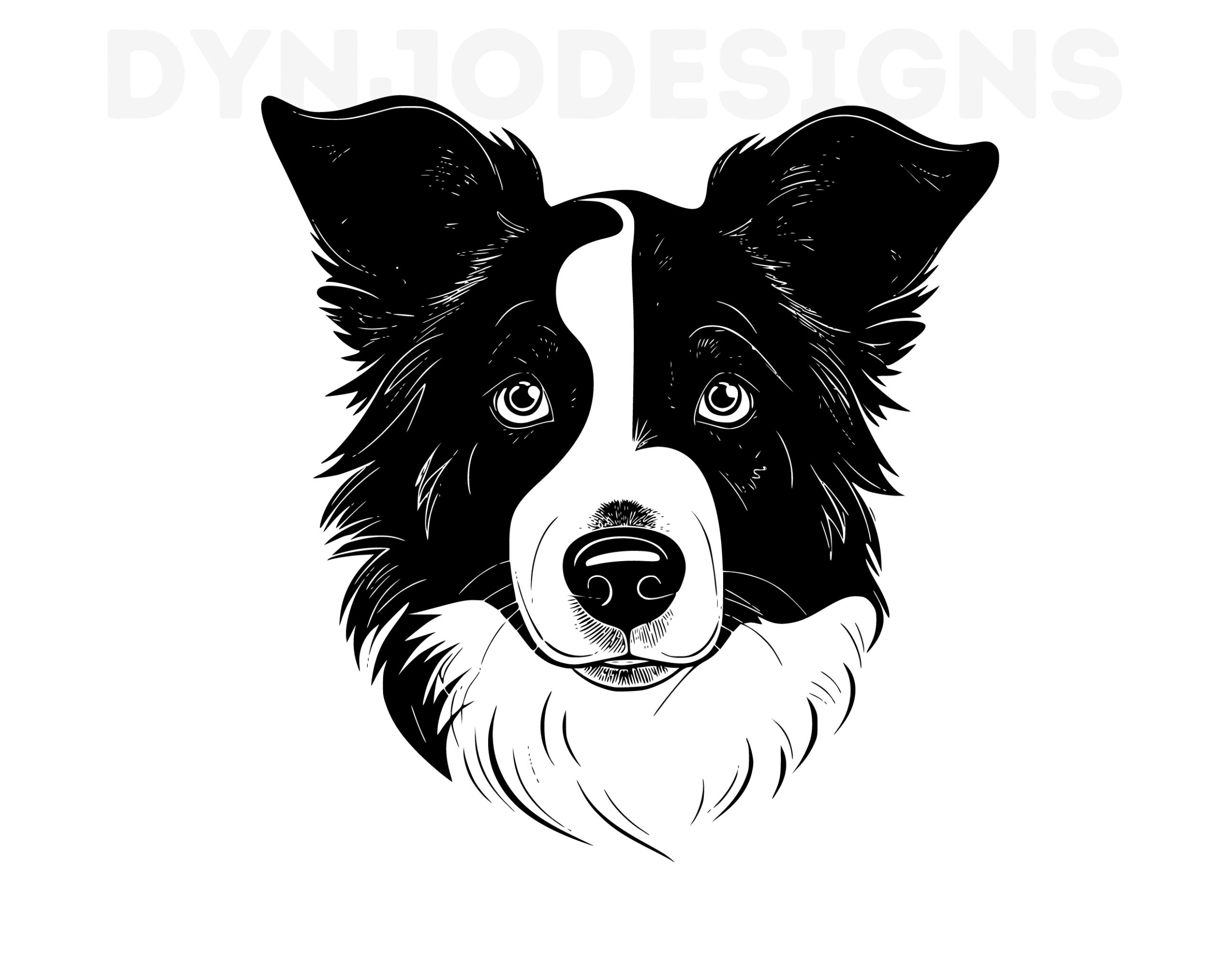 Border Collie Svg Border Collie Clipart Border Collie Png - Etsy