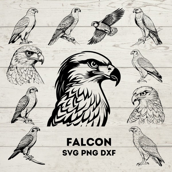 Falcons Cricut File - Etsy