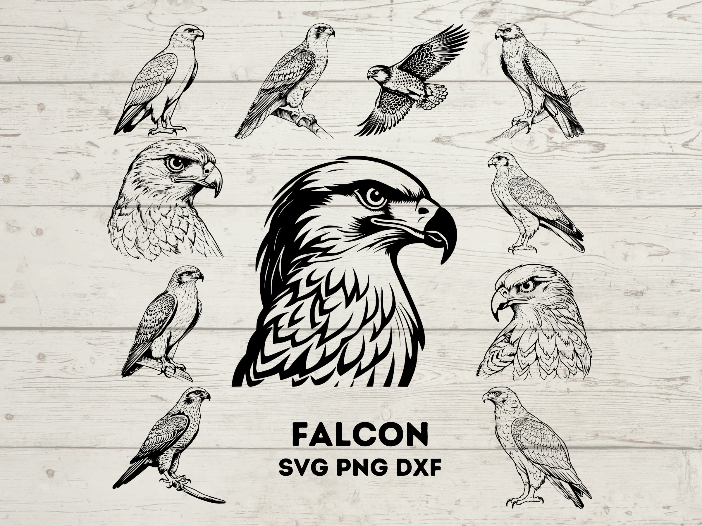 Falcon Svg Bundle , Falcon Svg , Cut Files for Cricut and Laser ...