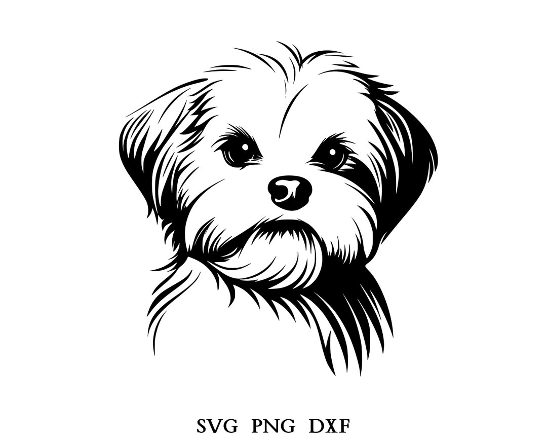Maltese Svg, Maltese Clipart, Maltese Png, Maltese Head, Maltese Cut ...