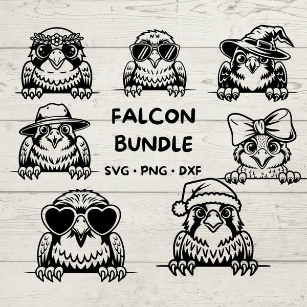 Falcons Cricut File - Etsy