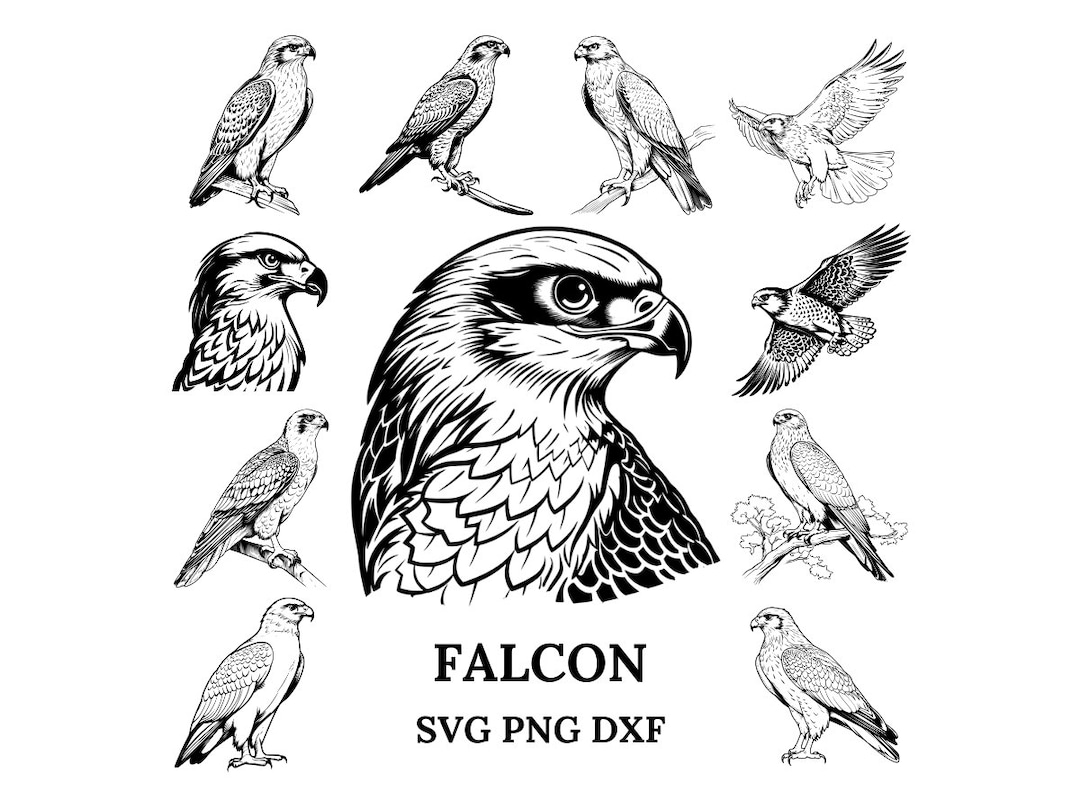 Falcon Svg Bundle , Falcon Svg , Cut Files for Cricut and Laser ...