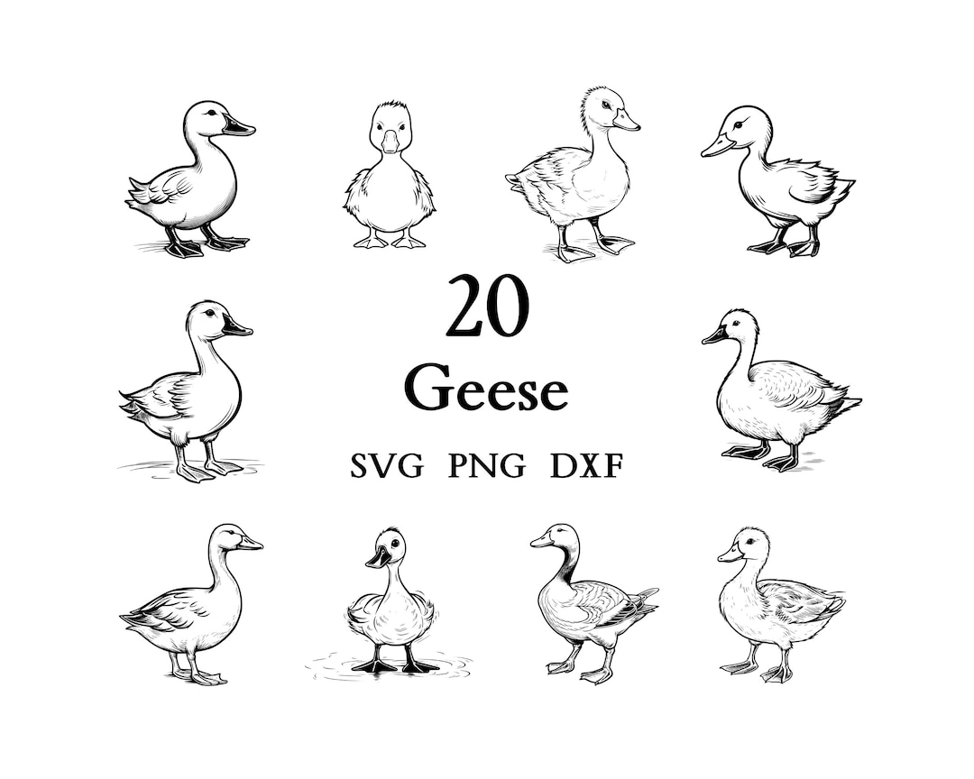 Goose Svg Bundle Goose Svg Cut Files for Cricut and Laser - Etsy Australia