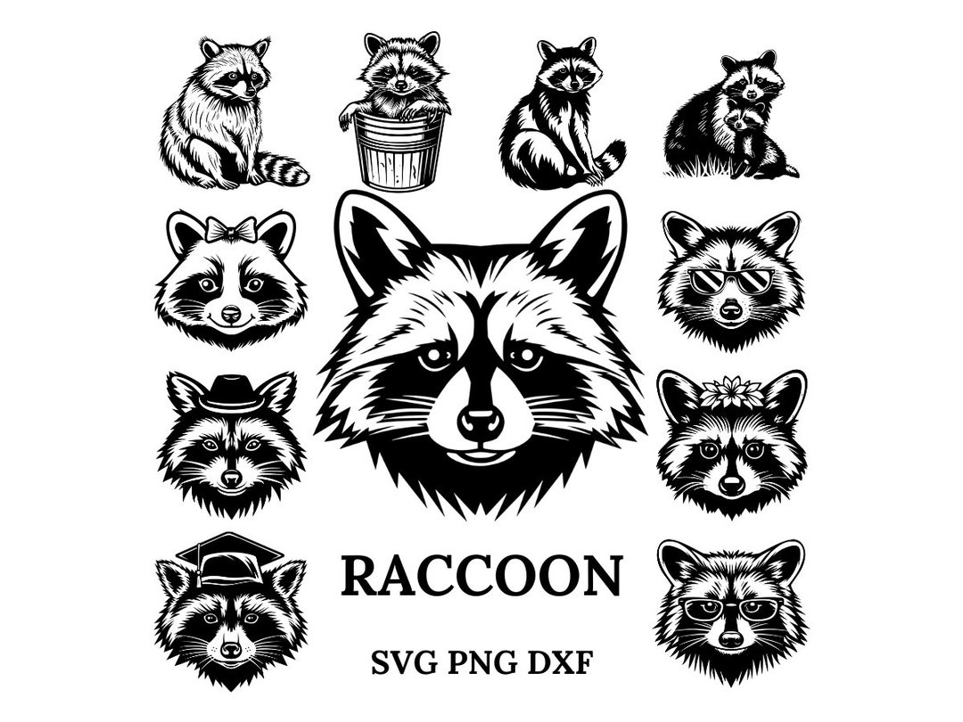 Paquete SVG de mapache, SVG de mapache, Png de mapache, Imágenes ...