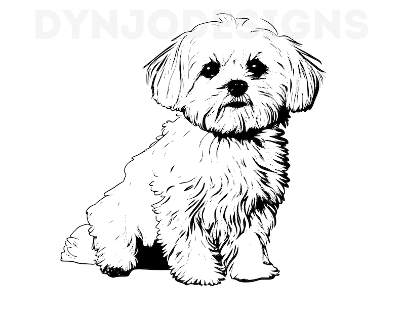 Malteser Clipart Malteser Clipart Malteser Png Malteser - Etsy Schweiz