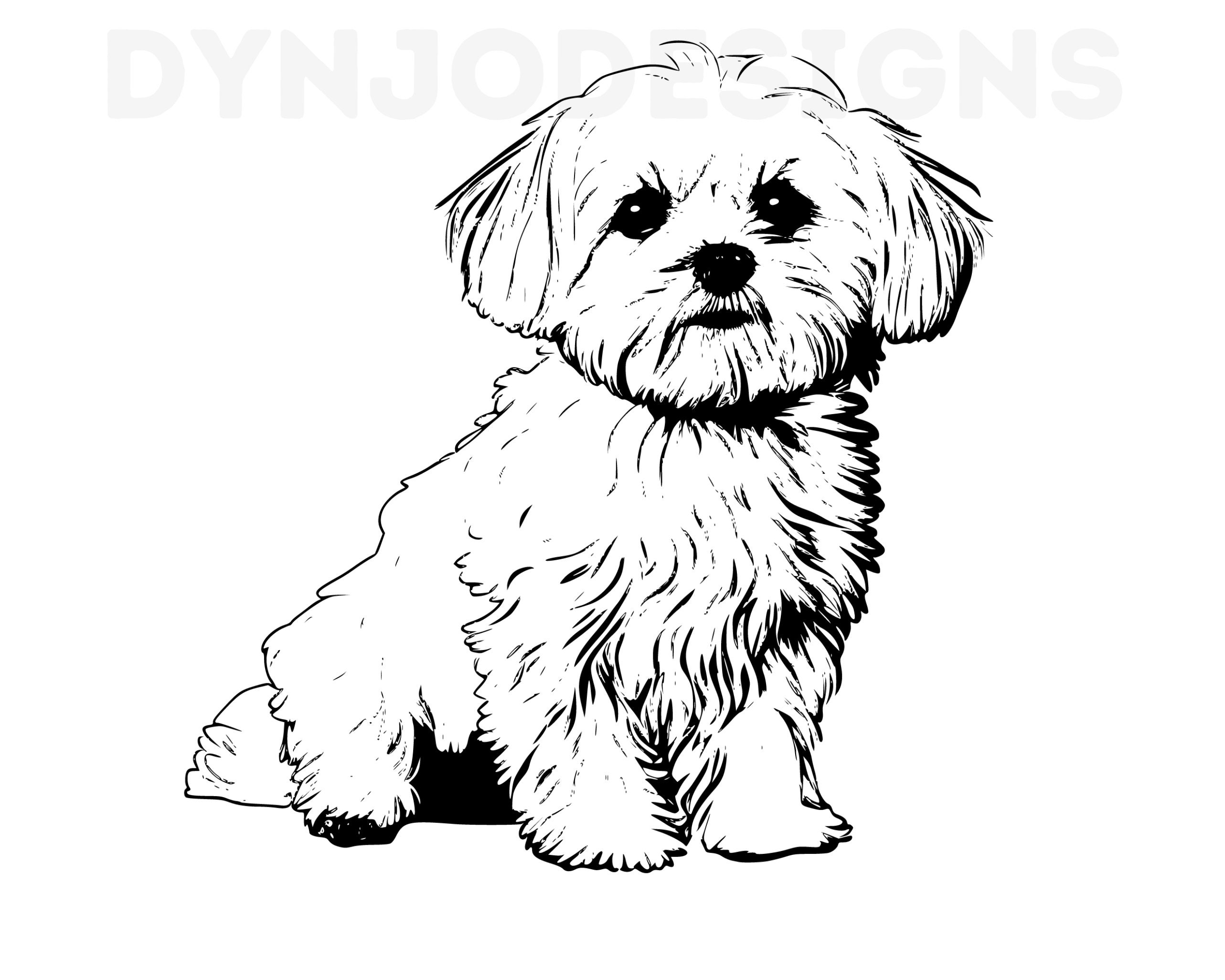 Maltese Svg Maltese Clipart Maltese Png Maltese hoofd - Etsy België