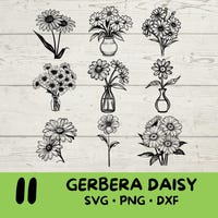 Gerber Daisy - Etsy