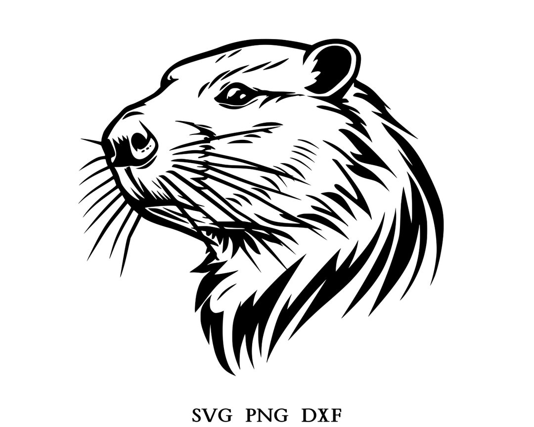 Beaver Head,beaver Svg, Beaver Clipart, Beaver Png, Beaver Head, Beaver ...