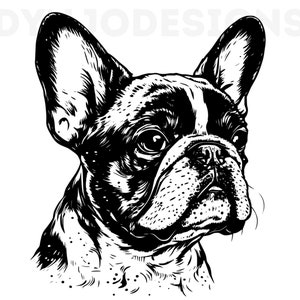 French Bulldog Head Svg , Dog Svg , Cut Files for Cricut and Laser ...