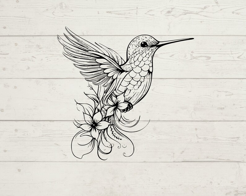 Hummingbird Svg Hummingbird Clipart Hummingbird Png - Etsy