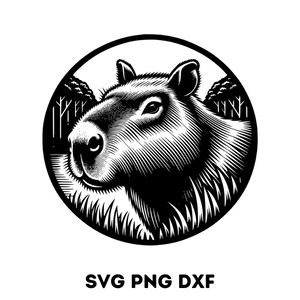 Capybara Svg, Capybara Clipart, Capybara Png, Capybara Head, Capybara ...