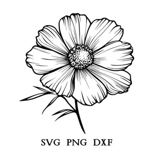 Cosmos Svg, Cosmos Png, Cosmos Clipart, Flower Svg, Flower Png - Etsy