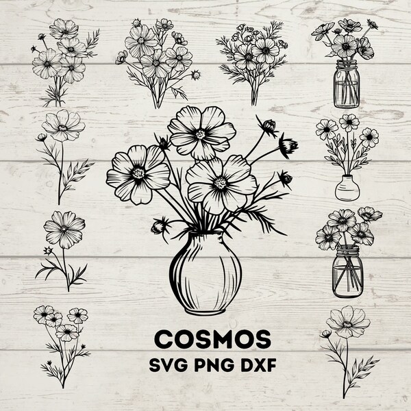 Cosmos Svg - Etsy