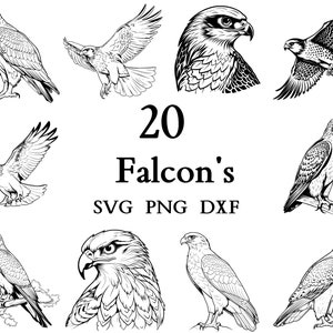 Falcon Svg Bundle Falcon Svg Cut Files for Cricut and - Etsy Australia
