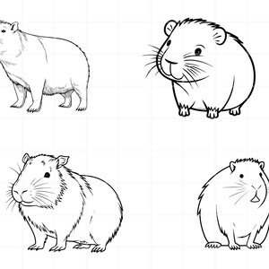 Capybara Svg Bundle , Capybara Svg , Cut Files for Cricut and Laser ...