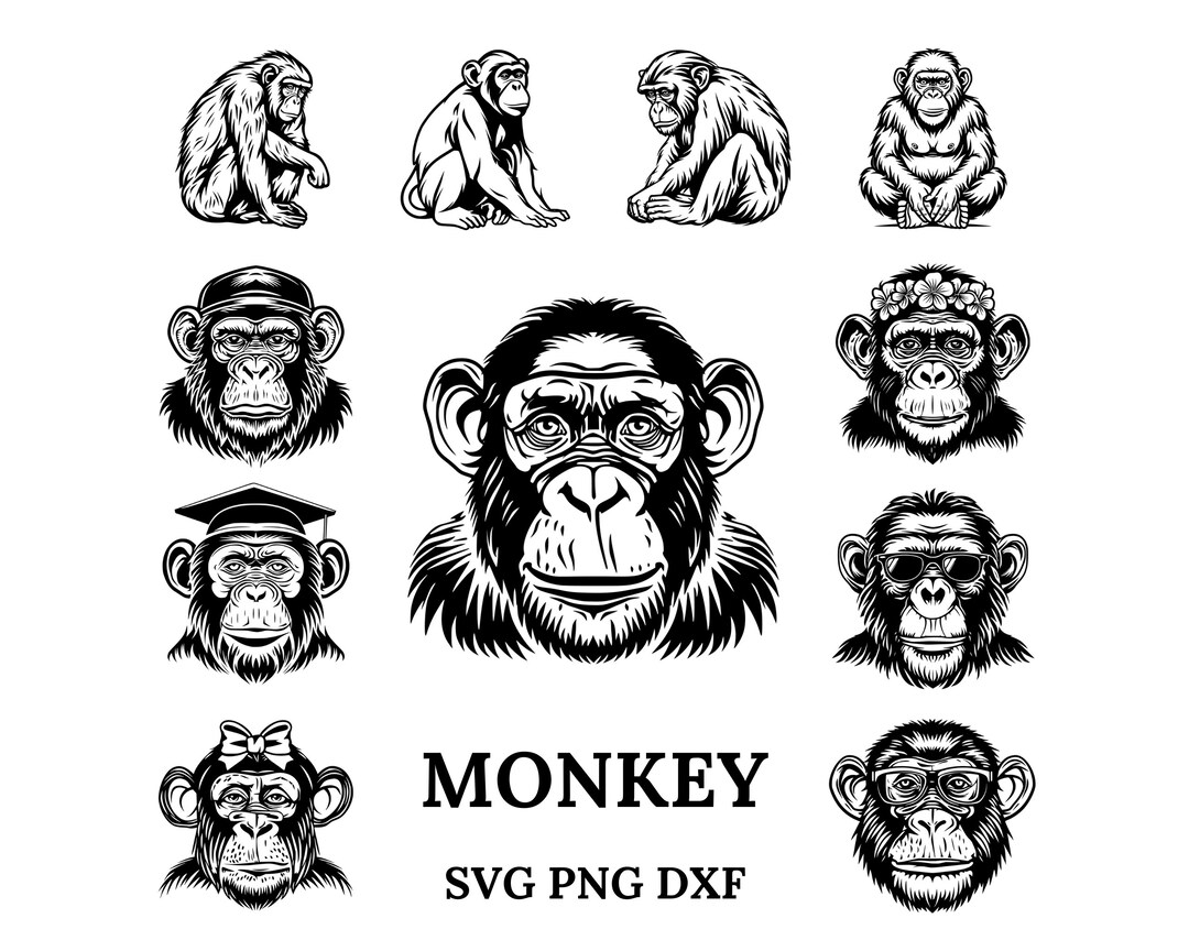 Monkey Svg Bundle , Monkey Svg , Monkey Png, Monkey Clipart, Monkey ...