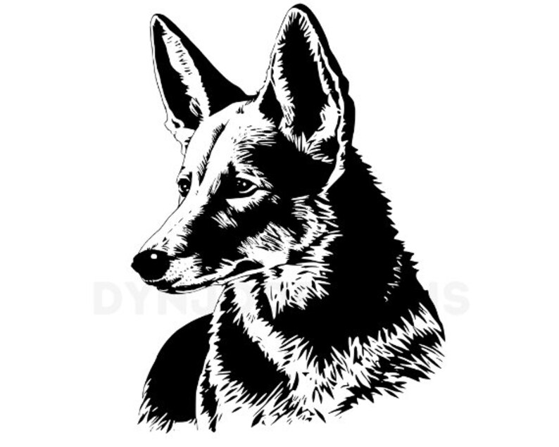 Dingo Svg Dingo Clipart Dingo Png Dingo Head Dingo Cut - Etsy Australia