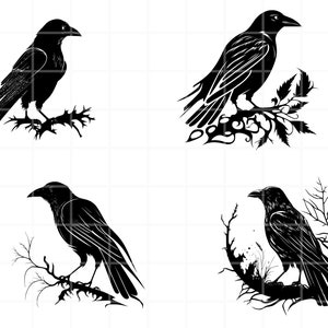 Crow Svg, Crow Bundle, Crow Clipart, Crow Png, Crow Cut Files for ...