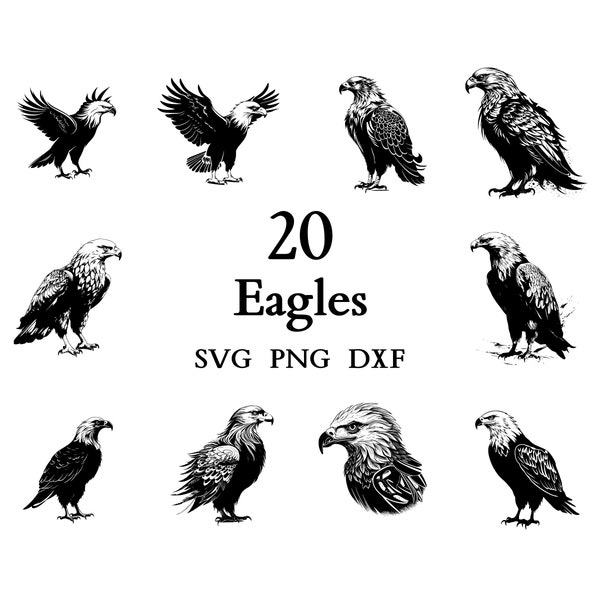 Cute Eagle Png - Etsy