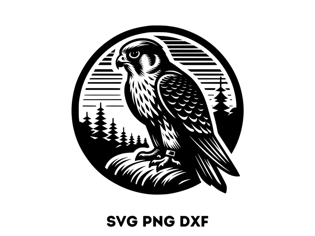 Falcon Svg, Falcon Clipart, Falcon Png, Falcon Head, Falcon Cut Files ...