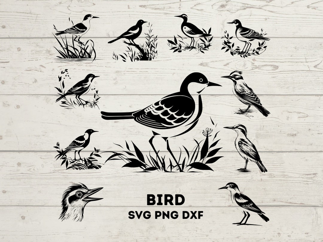 Bird Svg Bundle , Bird Svg , Bird Png, Bird Clipart, Bird Head, Bird ...