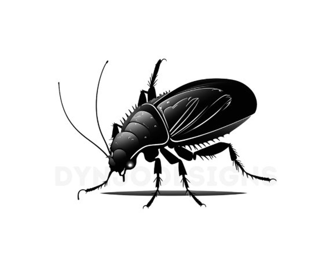 Cockroach Svg Cockroach Clipart Cockroach Png Cockroach - Etsy