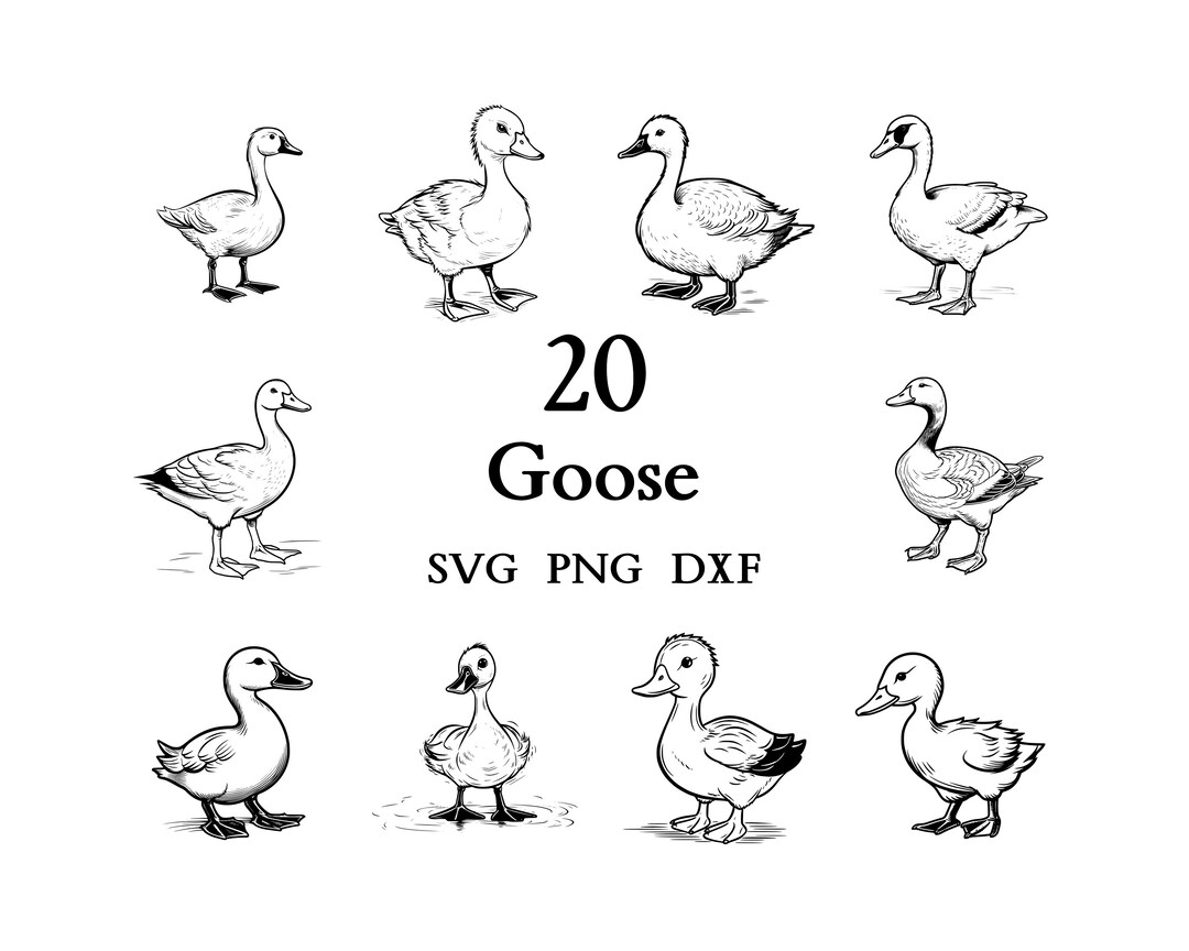 Goose Svg Bundle , Goose Svg , Cut Files for Cricut and Laser Engraving ...