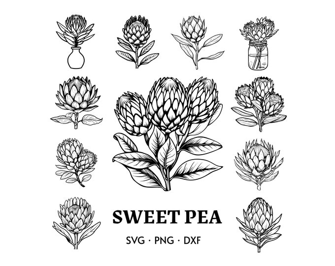 Sweet Pea Svg - Etsy