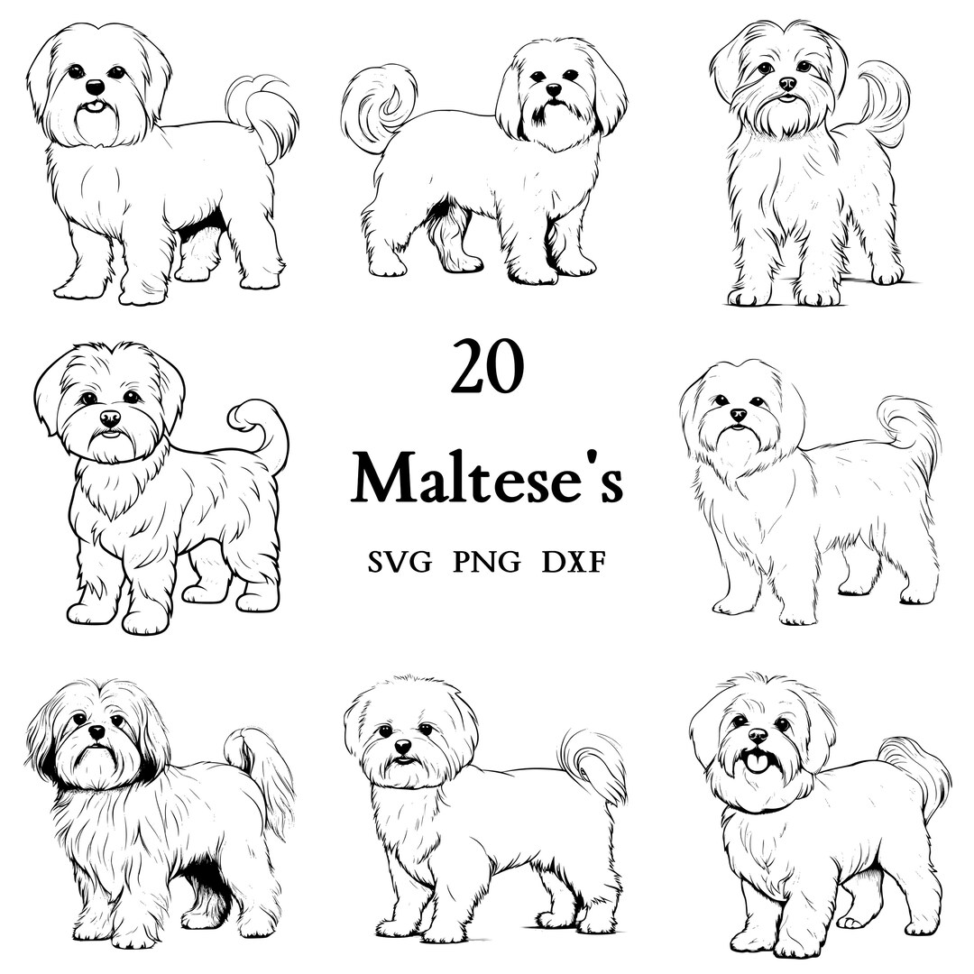 Maltese Svg Bundle , Dog Svg , Cut Files for Cricut and Laser Engraving ...
