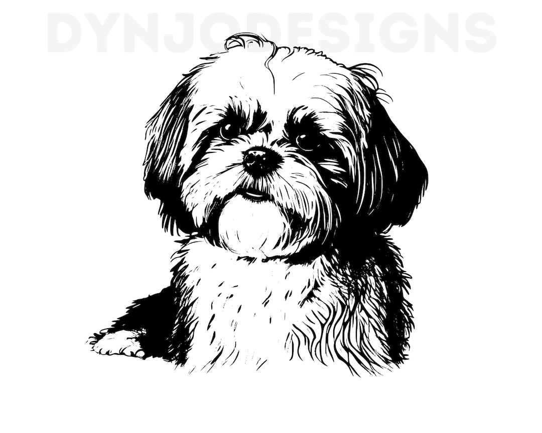Shih Tzu Svg, Shih Tzu Clipart, Shih Tzu Png, Shih Tzu Head, Shih Tzu ...