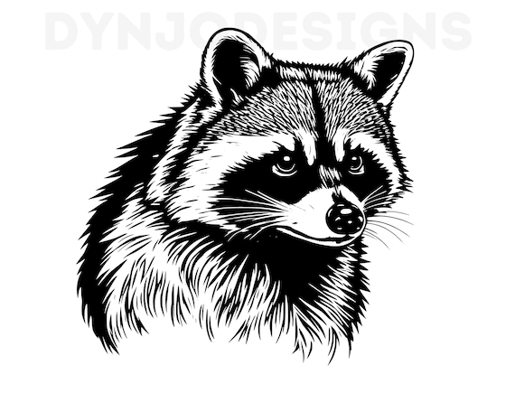 Raccoon Face Clip Art