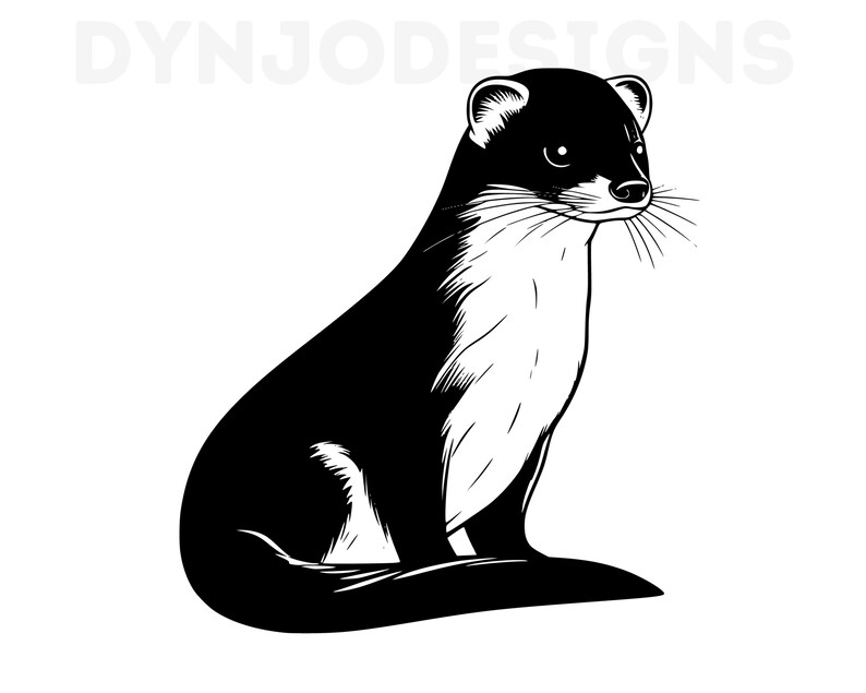 Stoat Svg Stoat Clipart Stoat Png Stoat Head Stoat Cut - Etsy