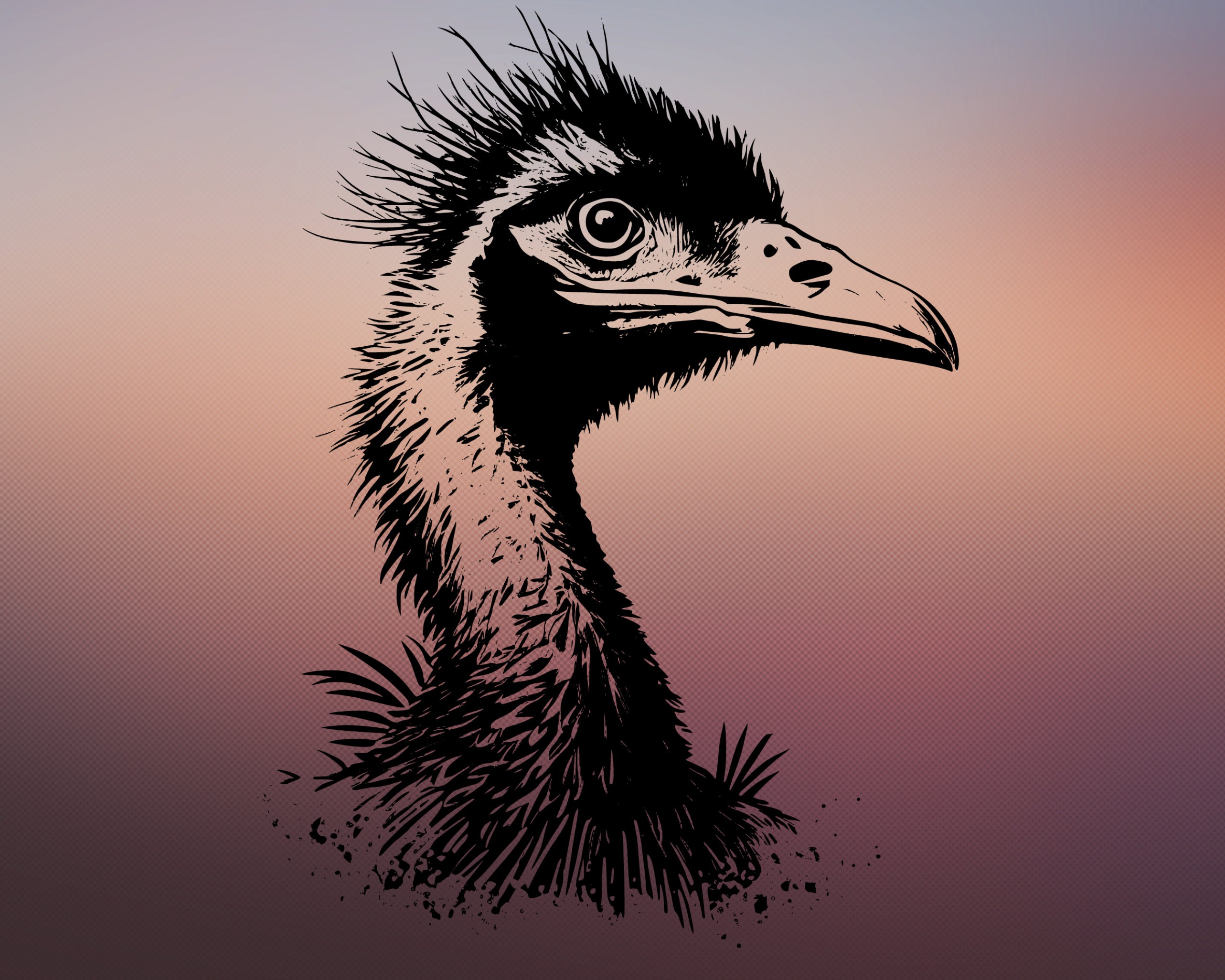 Emu Svg Emu Clipart Emu Png Emu Head Emu Cut Files for - Etsy Australia