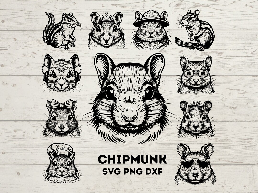 Chipmunk Svg Bundle , Chipmunk Svg , Chipmunk Png, Chipmunk Clipart ...