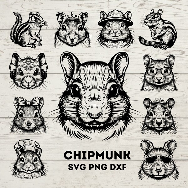 Chipmunk - Etsy