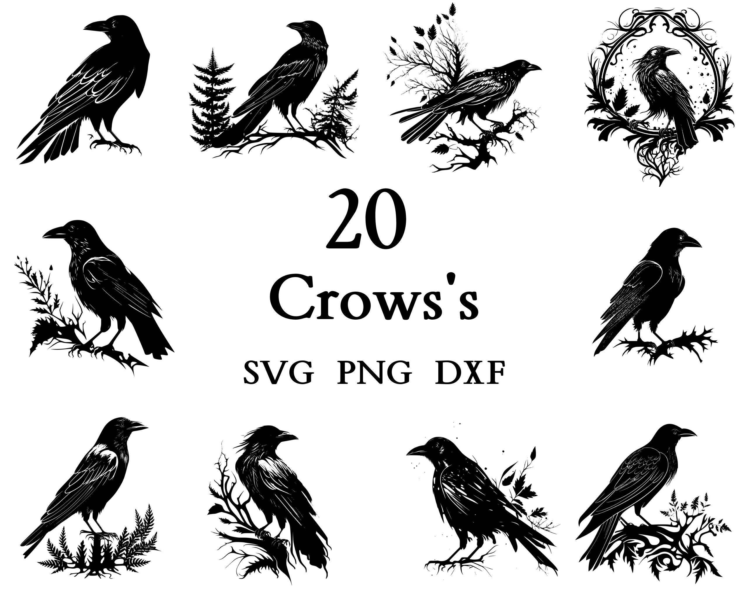 Crow Svg Crow Bundle Crow Clipart Crow Png Crow Cut Files - Etsy Canada