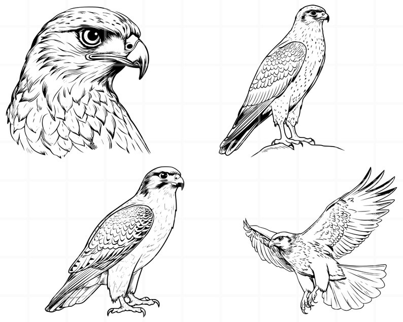 Falcon Svg Bundle Falcon Svg Cut Files for Cricut and - Etsy