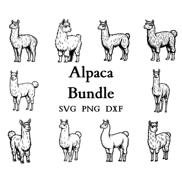 Alpaca Svg - Etsy