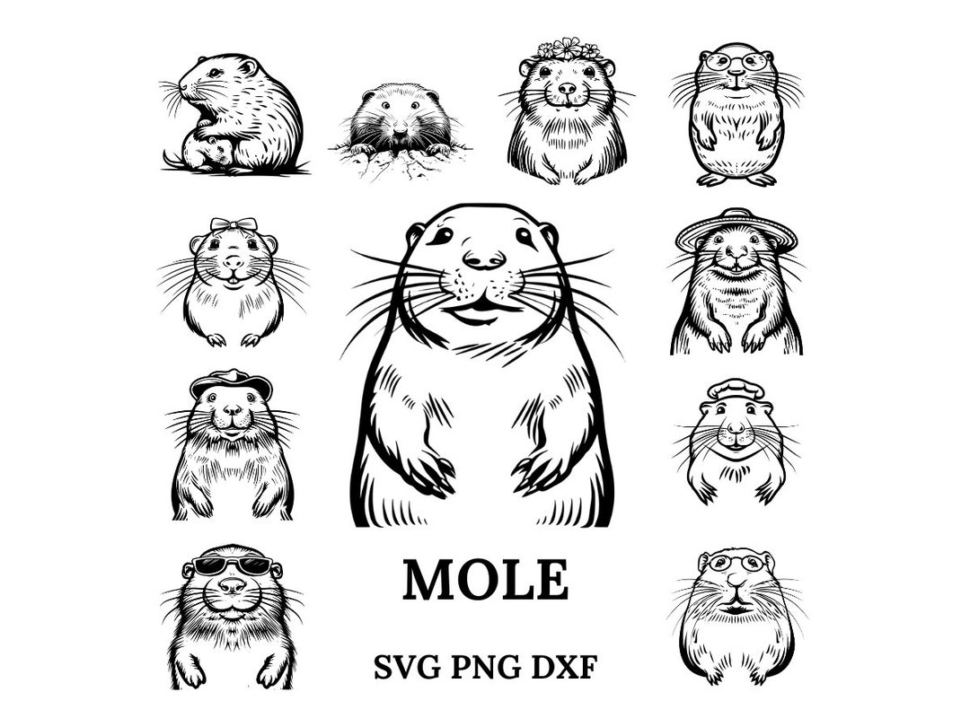 Mole Svg Bundle , Mole Svg, Mole Png, Mole Clipart, Mole Vector Dxf ...