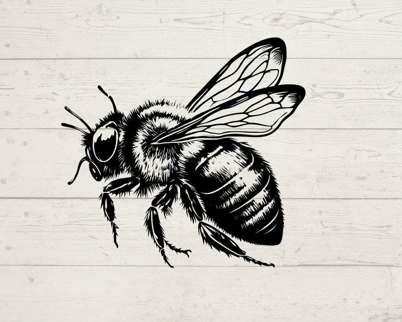 Bee Svg Bee Clipart Bee Png Bee Head Bee Cut Files for - Etsy New Zealand