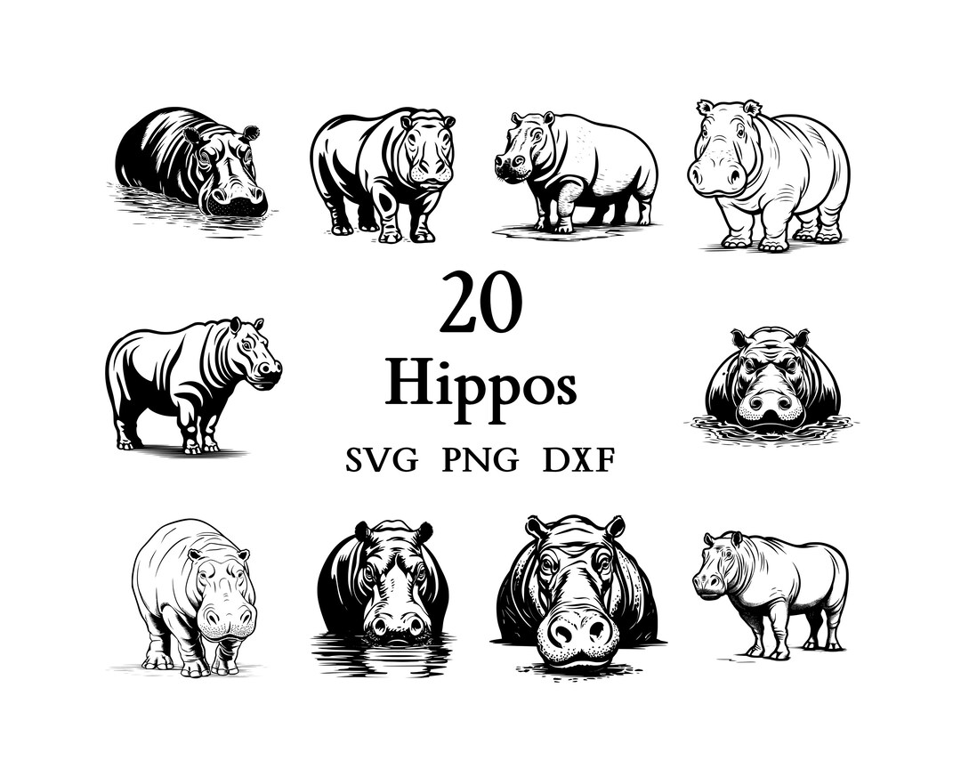 Hippo Svg Bundle , Hippo Svg , Cut Files for Cricut and Laser Engraving ...