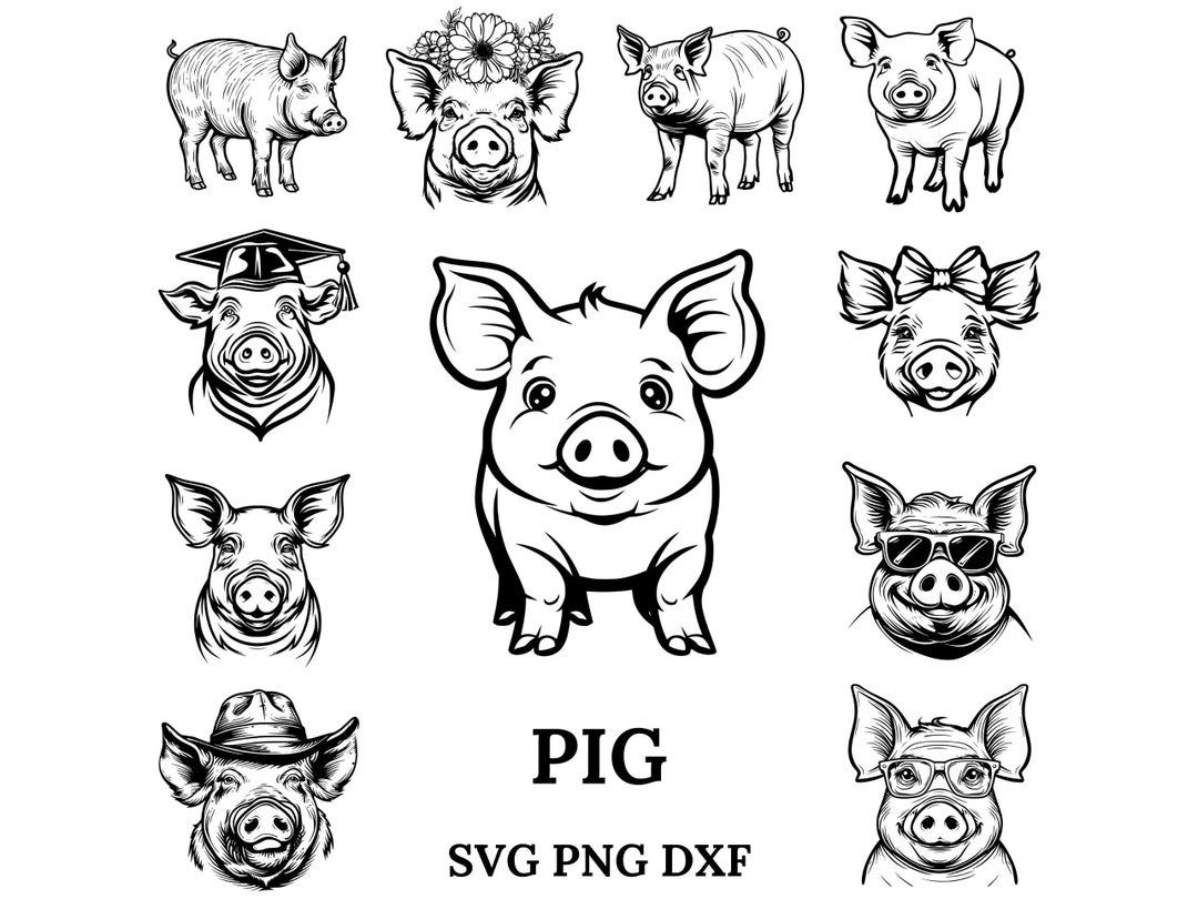 Paquete de cerdo svg, cerdo svg, cerdo png, imágenes prediseñadas de ...