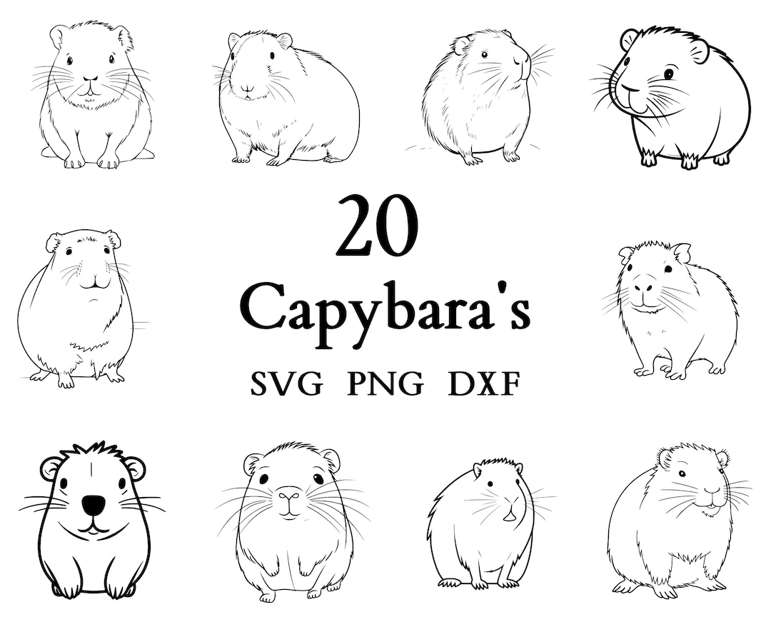 Capybara Svg Bundle Capybara Svg Cut Files for Cricut and - Etsy