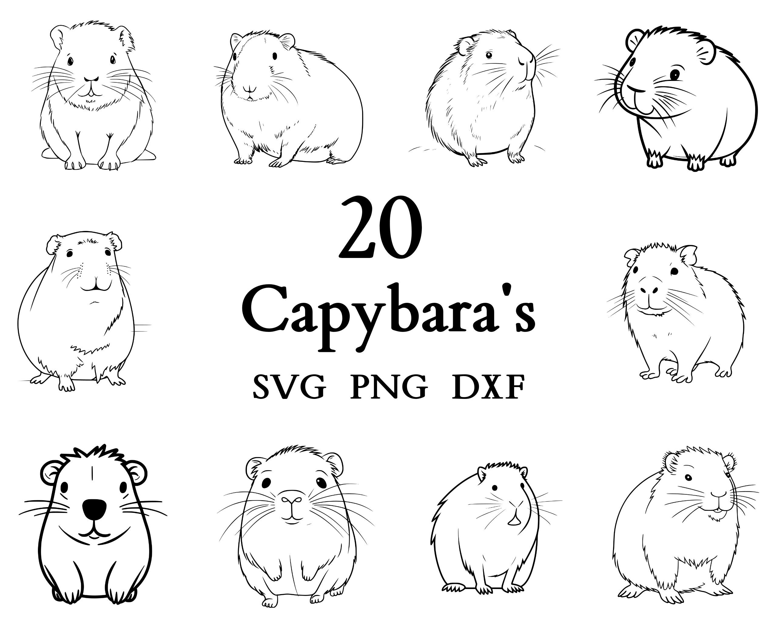 Capybara Svg Bundle Capybara Svg Cut Files for Cricut and - Etsy