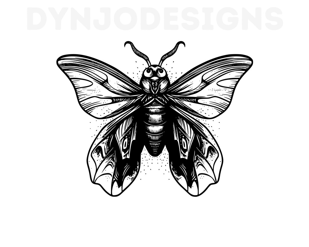 Moth Svg Moth Clipart Moth Png Moth Head Moth Cut Files - Etsy